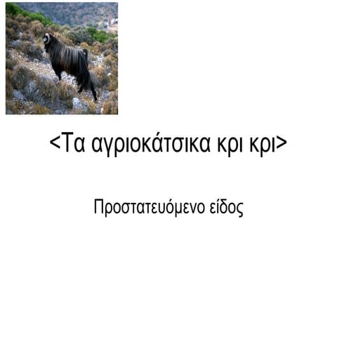 τα αγριοκάτσικα κρι κρι | PPT