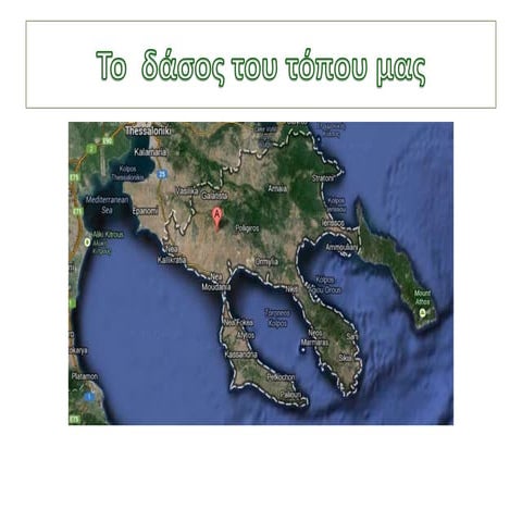 το δάσος του τόπου μας | PPTX