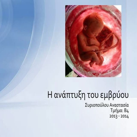 Ανάπτυξη του εμβρύου - (Συριοπούλου Αν.) | PPTX