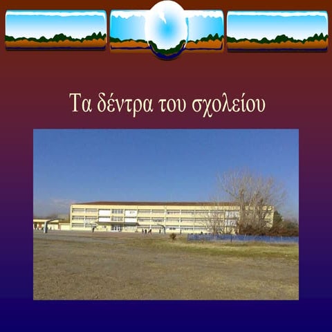 τα δέντρα στο σχολείο μας | PPT