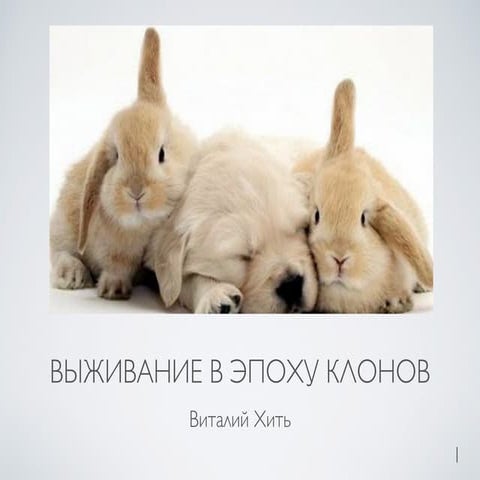 Make Games, Not War. Елена Лобова | PDF