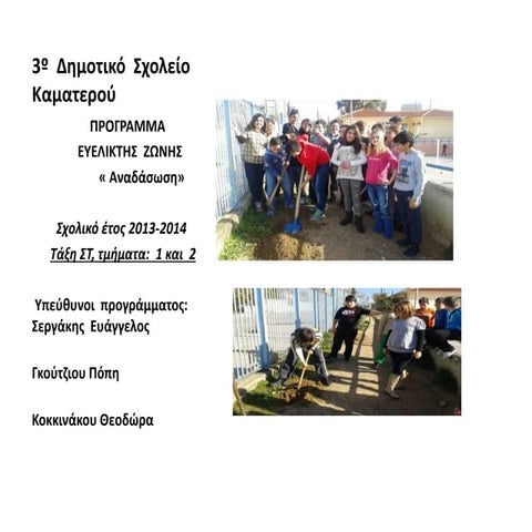 αναδάσωση στο-χώρο-του-σχολείου | PPTX