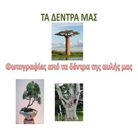 τα δεντρα μας | PPTX
