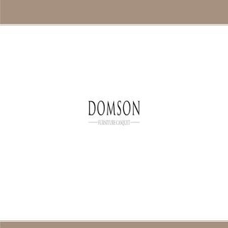 Domson. Концепция. | PPT