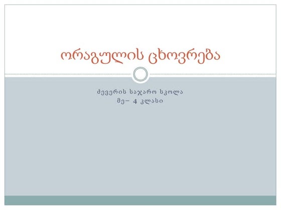 კლიმატური სარტყლები Ppt