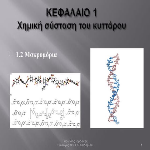 πρωτεϊνες αμινοξέα | PPT
