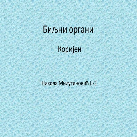 Gradja biljaka | PPTX