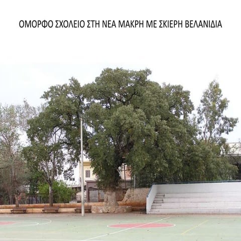 ισότητα των φύλων | PPTX