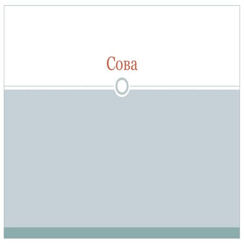 Sova Stefan Mutic | PPTX