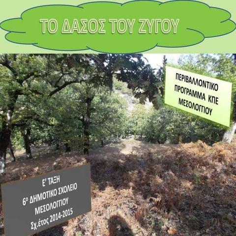 ΤΟ ΔΑΣΟΣ ΤΟΥ ΖΥΓΟΥ" Ε' Τάξη .6ο Δημοτικό Σχολείο Μεσολογγίου.(2014-2015 ...