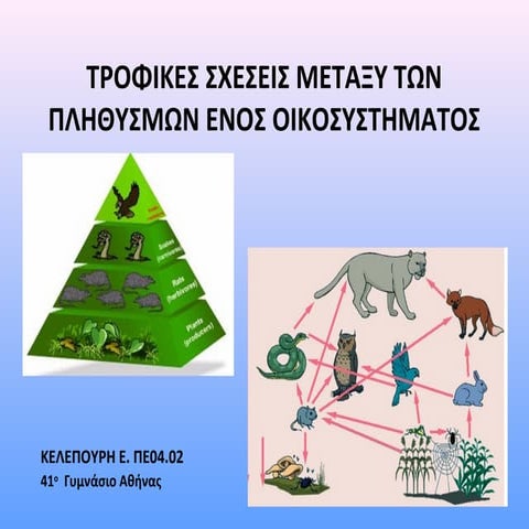 τροφικεσ σχεσεισ μεταξυ των πληθυσμων ενοσ οικοσυστηματοσ | PPT