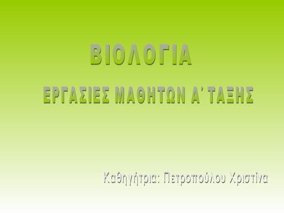 Εργασία στο μάθημα της τεχνολογίας (Αερόστατο) | PDF