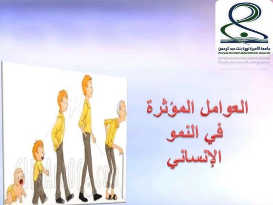 الدليل التطبيقي لمسير Masirh | DOCX