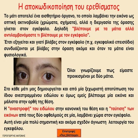 η αποκωδικοποίηση του ερεθίσματος | PPS