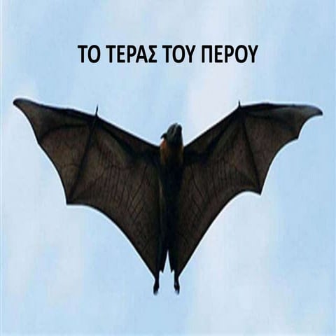 το τερας του περου | PPTX