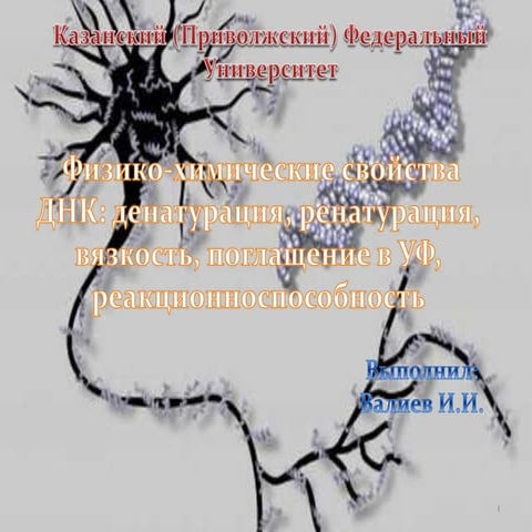 микра | PPT