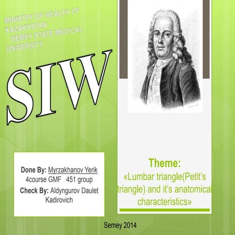 Lumbar triangle(Petit’s triangle) and it’s anatomical characteristics ...