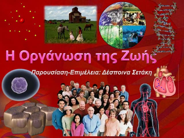 Βιολογία Α Γυμνασίου Ερωτήσεις-Απαντήσεις-Ασκήσεις με Λύσεις του ...