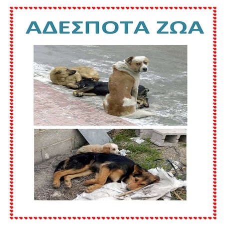 αδεσποτα ζωα δημητρα λυριτσακη | DOCX