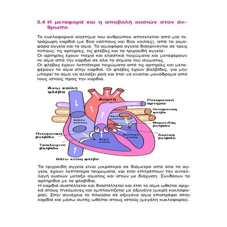 κυκλοφορικο συστημα ανθρωπου | DOCX