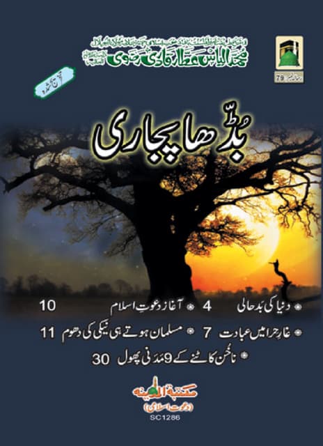 Shaheed allama muhammed khurram raza | PDF