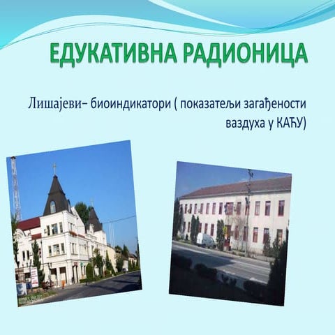 Лишајеви биоиндикатори загађивачи ваздуха едукативна радионица Ppt