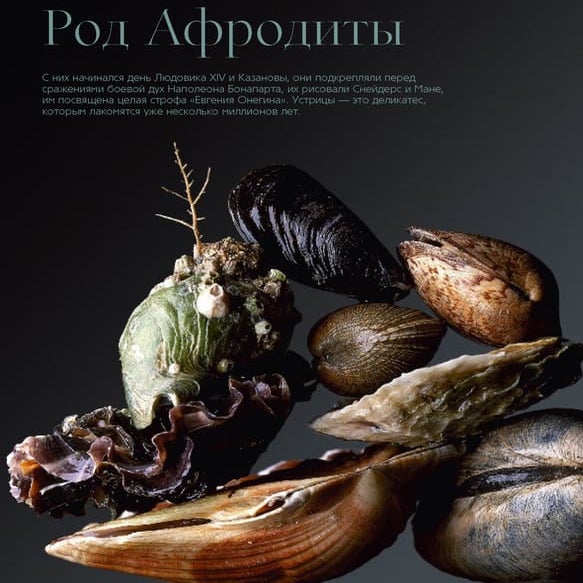 устрицы | PDF