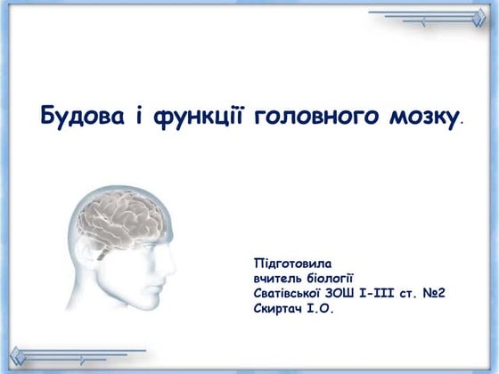 Будова і функції нервової системи Ppt