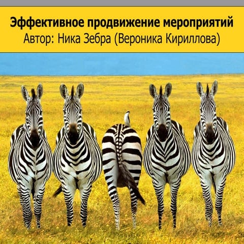 Yandex helpline 22.11