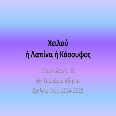 Xeilou | PPT