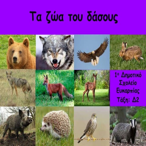 Τα ζώα του δάσους από το Δ2 | PPTX