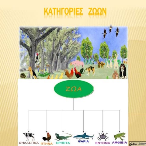 Κατηγορίες ζώων | PPTX