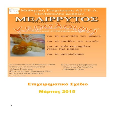 επιχειρηματικο σχεδιο μελιρρυτου | PDF