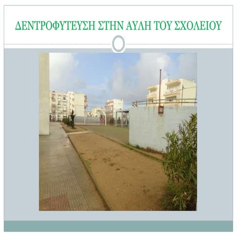 δεντροφυτευση στην αυλη του σχολειου | PPTX
