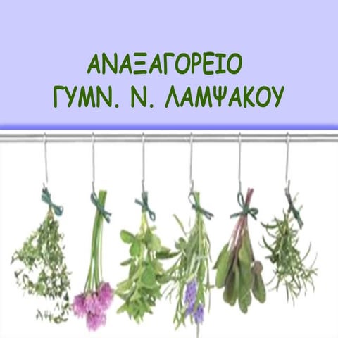 Βότανα και Αρωματικά Φυτά | PDF