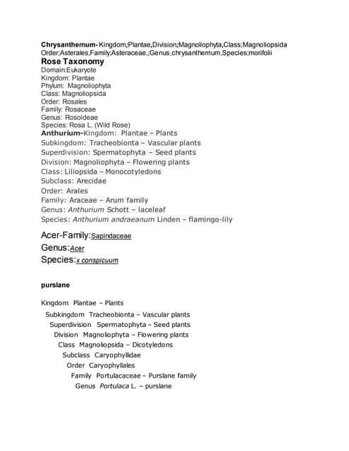 Taxonomy Rank. How the human can maintaning | PDF | Gardening | Home ...