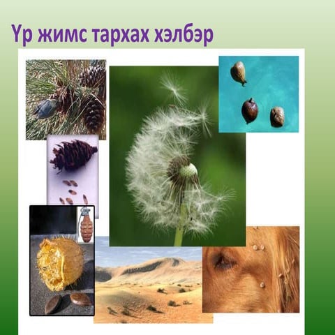 Shorgoolj tsartsaa 2 | PPTX