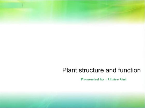 Powerpoint plant parts for science gr 5 | PPT