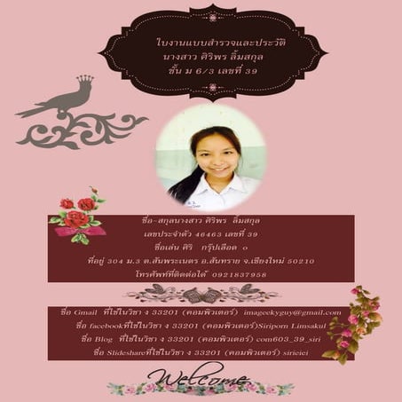 Tirapond 19 607 | PDF