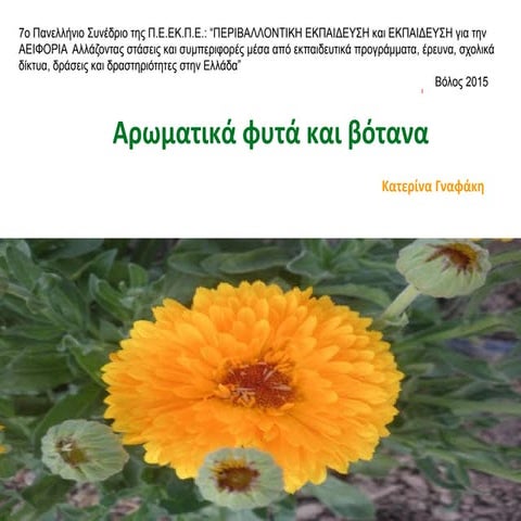 Αρωματικά φυτά και βότανα | ODP