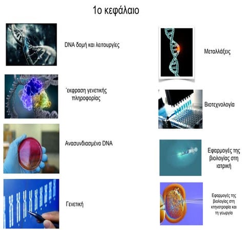 γ ´ λυκείου βιολογία | PPTX