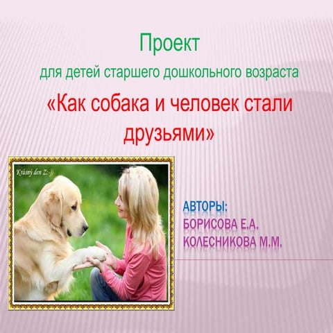 проект собаки | PPT