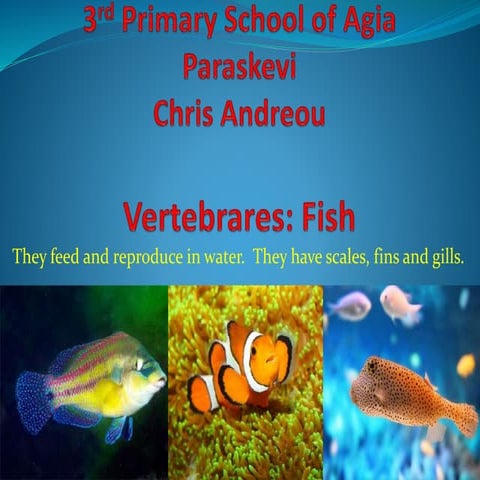 ECOLOGY OF FISHES.pptx full presentation | PPTX