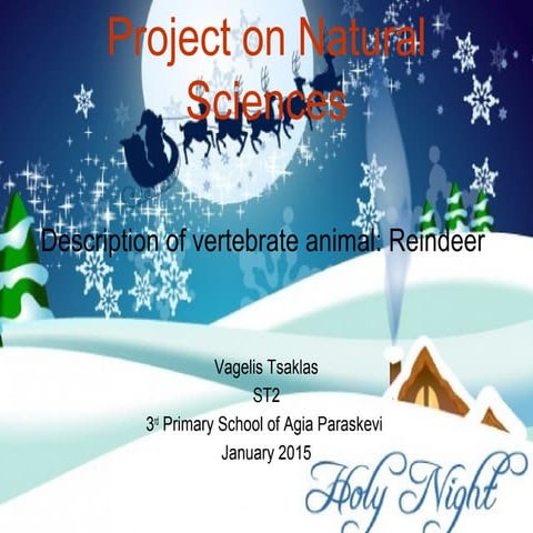 Raindeer | PPT