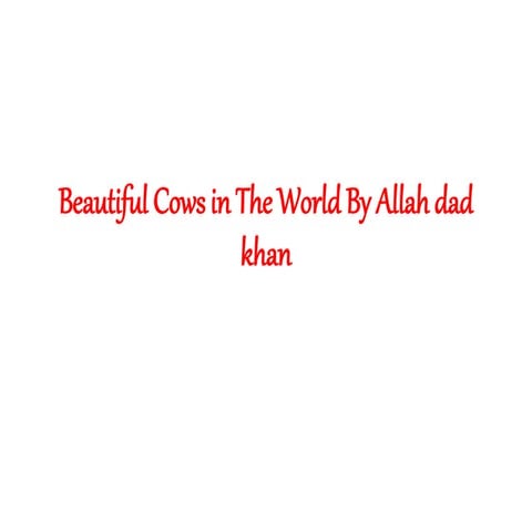 .Beautiful cows in the world by allah dad | PPTX