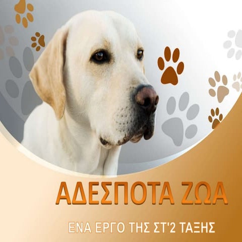 Αδέσποτα ζώα | PPTX