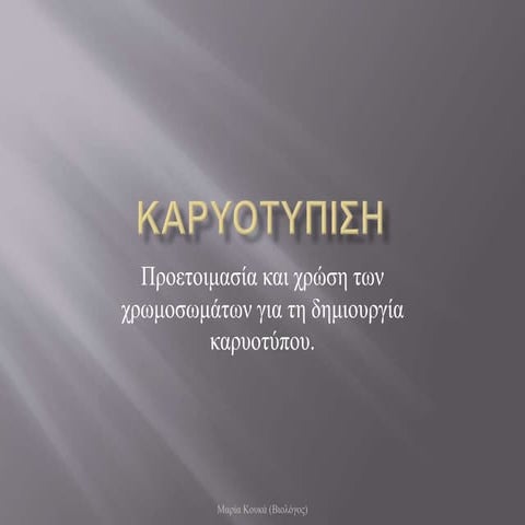 Καρυοτύπιση - karyotype | PPT