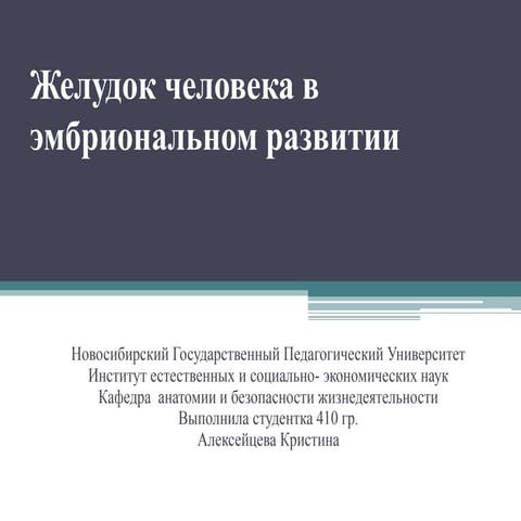 Желудок | PPTX