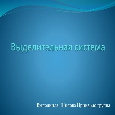почки | PPT