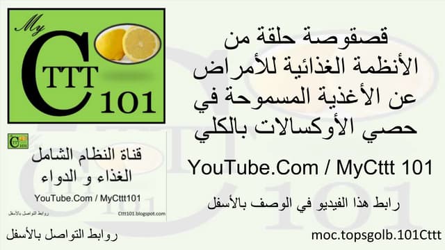 Robin william easterby examples of projects v1 | PDF